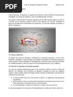 Structure des branchies des poissons | PDF | Branchie | Système ...