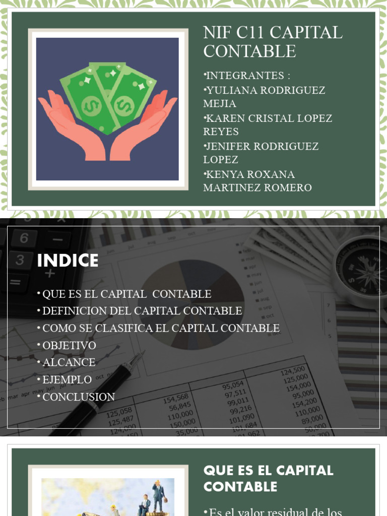 Nif c11 Capital Contable | PDF