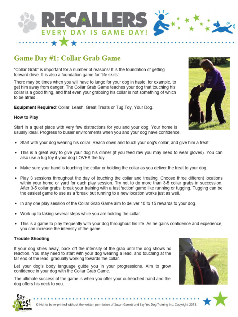 Recallers Collar Grab Game | PDF | Psychology | Behavioural Sciences