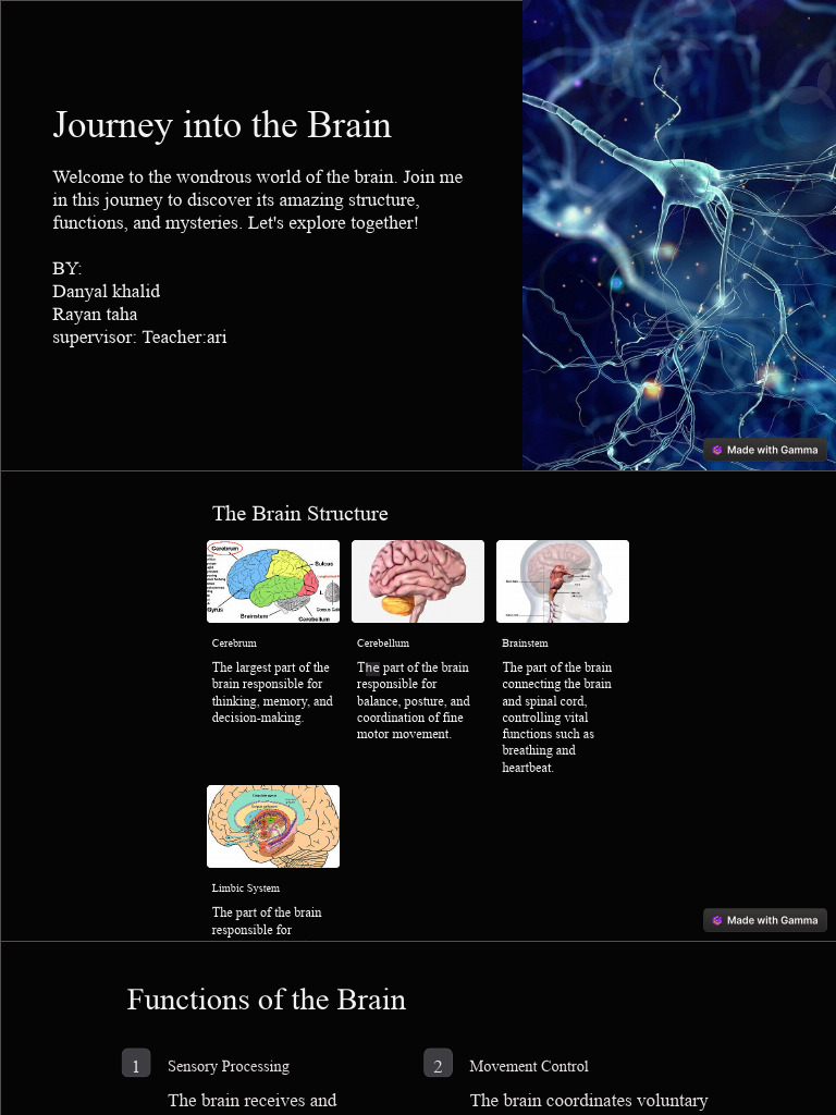 Journey Into The Brain | PDF | Memory | Brain