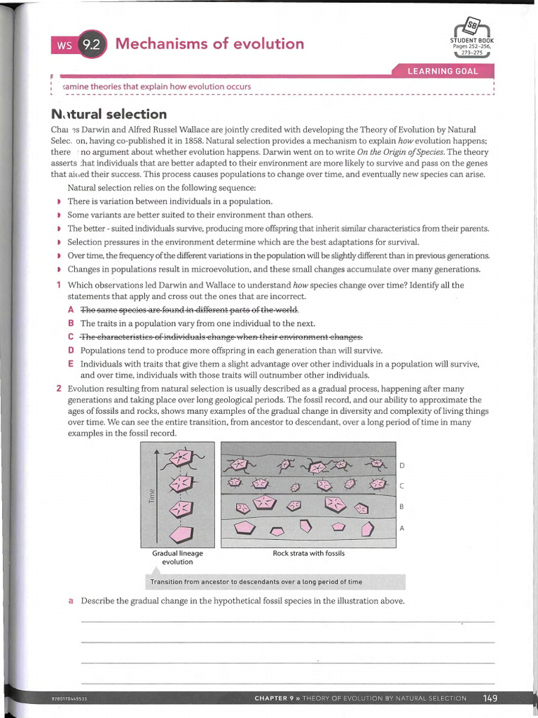 Depth Study Lesson 7 9.2 Mechanisms of Evolution - BIF Skills | PDF ...