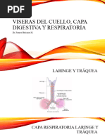 FARINGE y LARINGE - Anatomía II, Veterinaria | PDF | Laringe ...