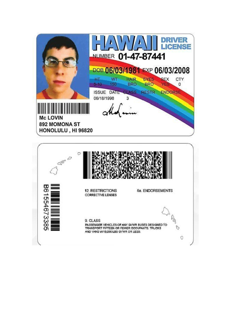 MCLOVIN | PDF