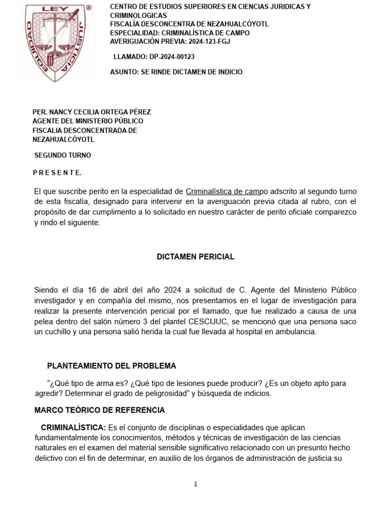 Dictamen Pericial en Caso Criminal | PDF | Ciencia forense | Testigo ...
