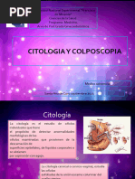 Guía Completa de Colposcopia y NIC | PDF | Especialidades Medicas ...