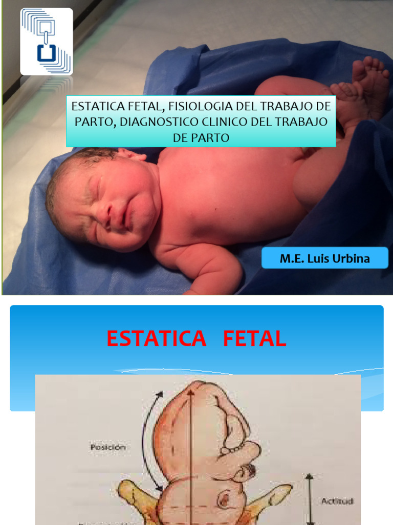 Atencion Del Parto | PDF | Parto | Contracción muscular