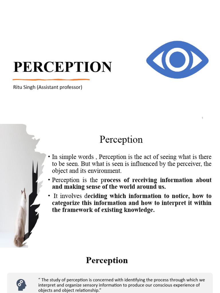 Module 3 Perception | Download Free PDF | Perception | Performance Appraisal