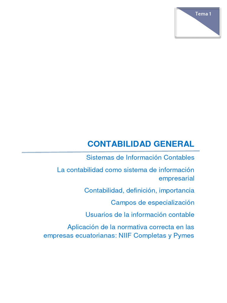 Teoria Contabilidad | PDF | Contabilidad | normas internacionales de INFORMACION FINANCIERA