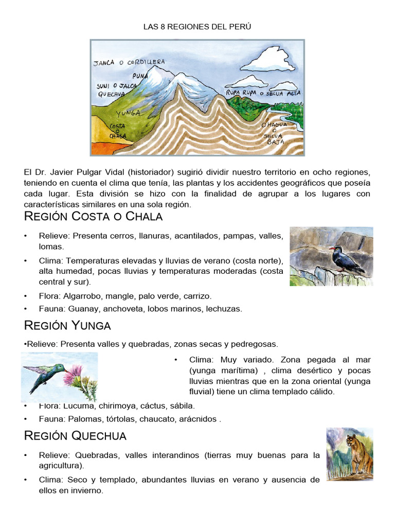 Ocho Regiones Naturales Del Perú para Cuarto Grado de Primaria | PDF | Clima | Ciencias de la Tierra