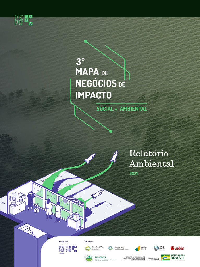 PIPE - 3º Mapa de Impacto - Relatório Ambiental | PDF | Economia ...