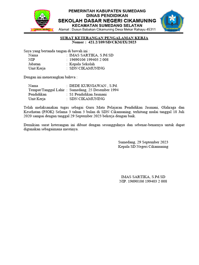 Pengalaman Kerja CKM | PDF