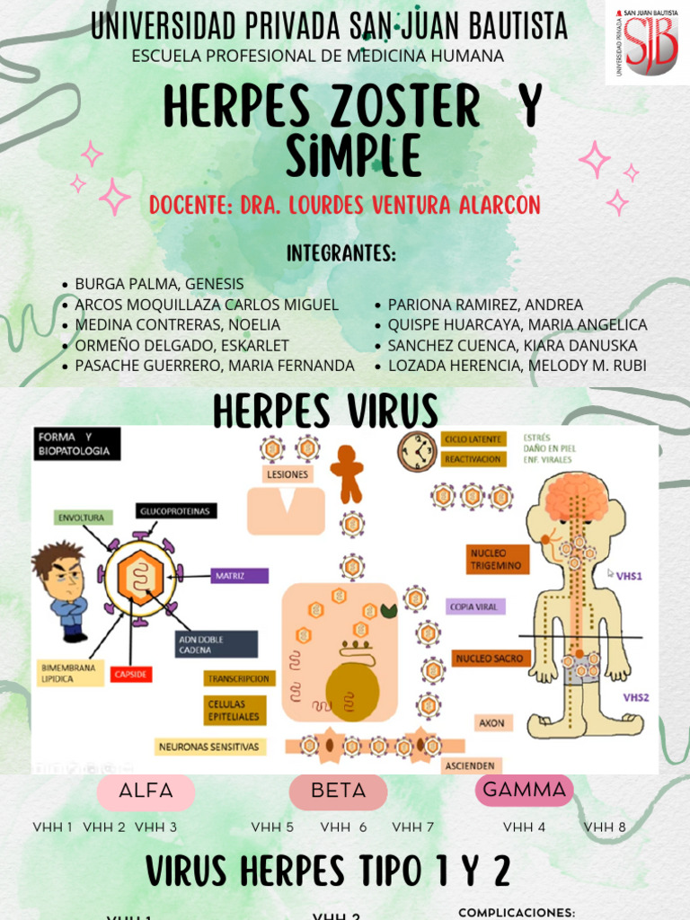 Herpes Zoster y Simple | PDF | Epidemiología | Enfermedades virales