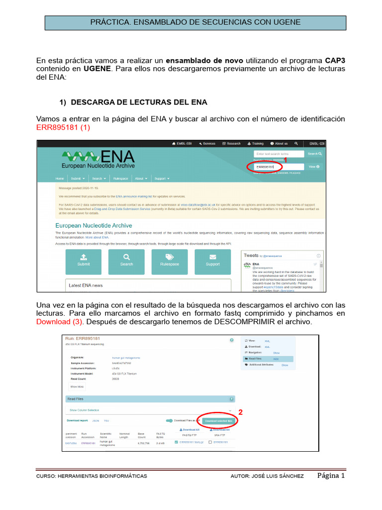 Practica Assembly Ugene | PDF | Omics | Genómica