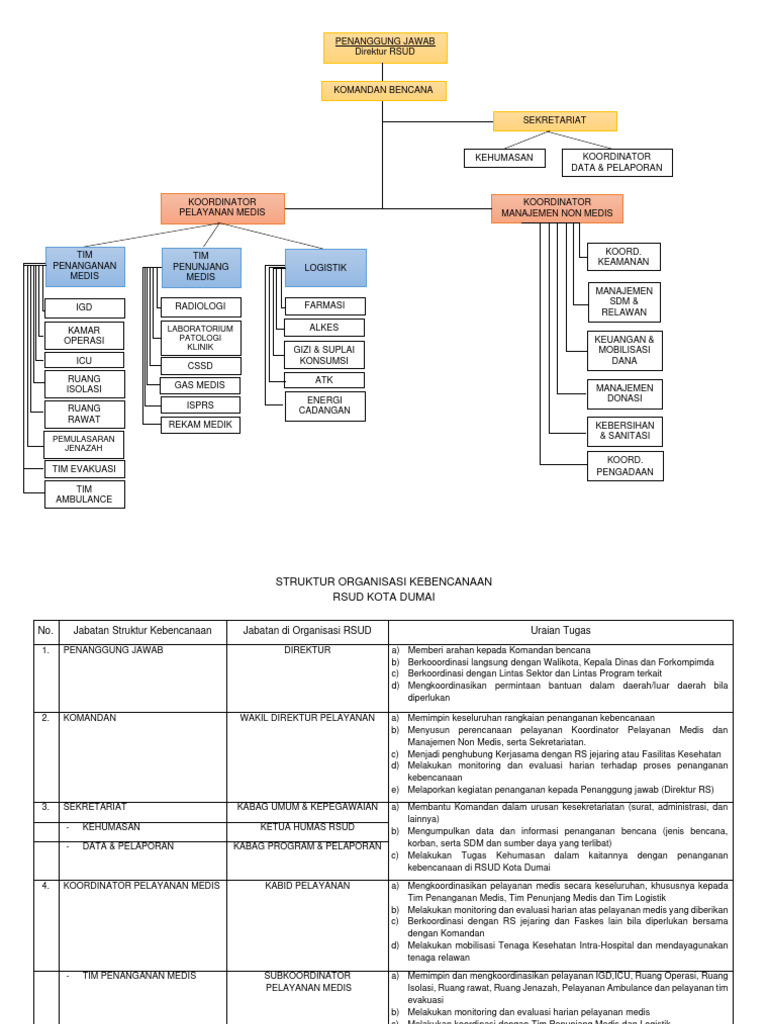 Draft Struktur Organisasi HDP - Rsud - Dumai | PDF