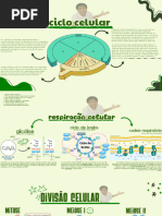 Interfase | PDF | Ciclo de célula | Célula (Biologia)