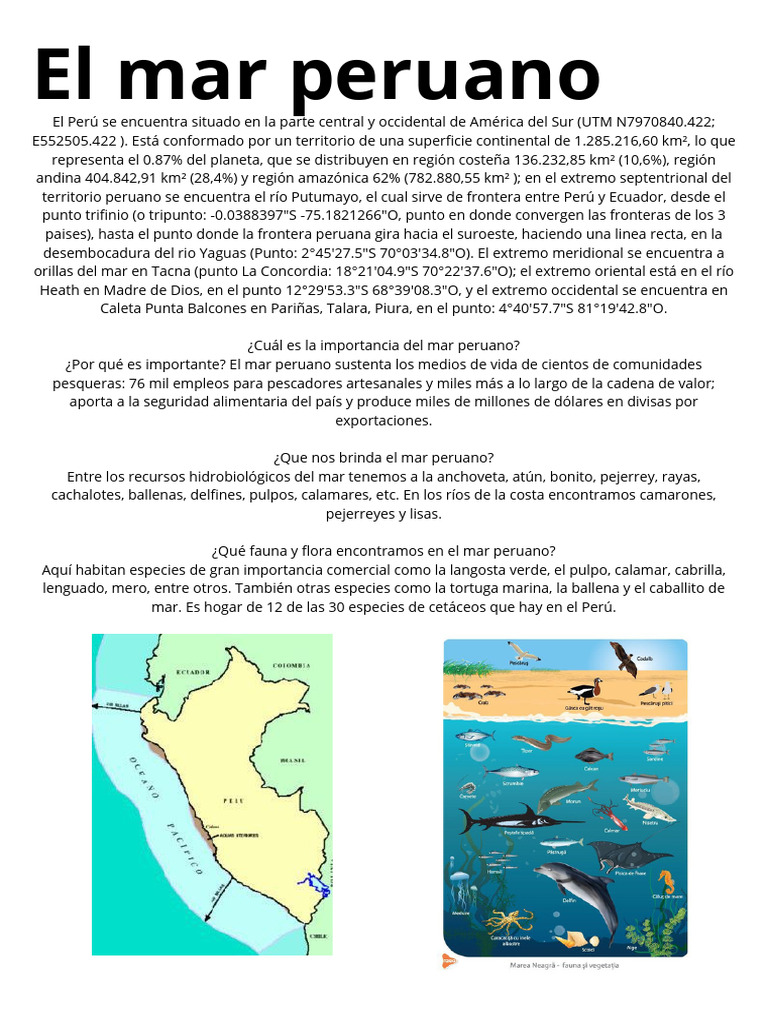 Importancia Y Fauna Del Mar Peruano Pdf