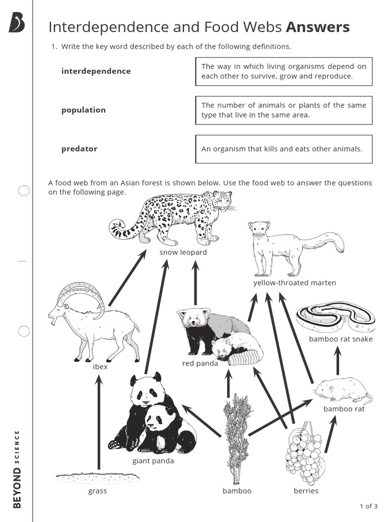 Interdependence and Food Webs - Answers | PDF | Predation | Food Web