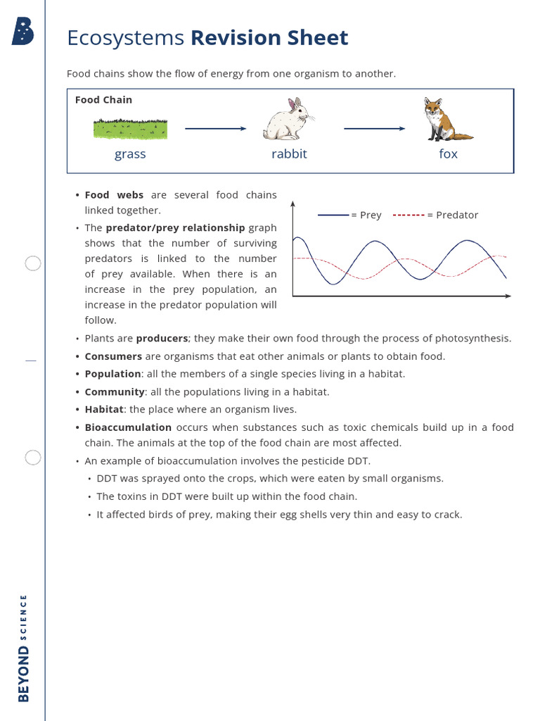 Ecosystems Review Activities - Revision Sheet | PDF