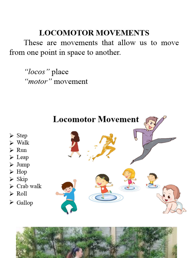 Understanding Locomotor and Non-Locomotor Movements | PDF