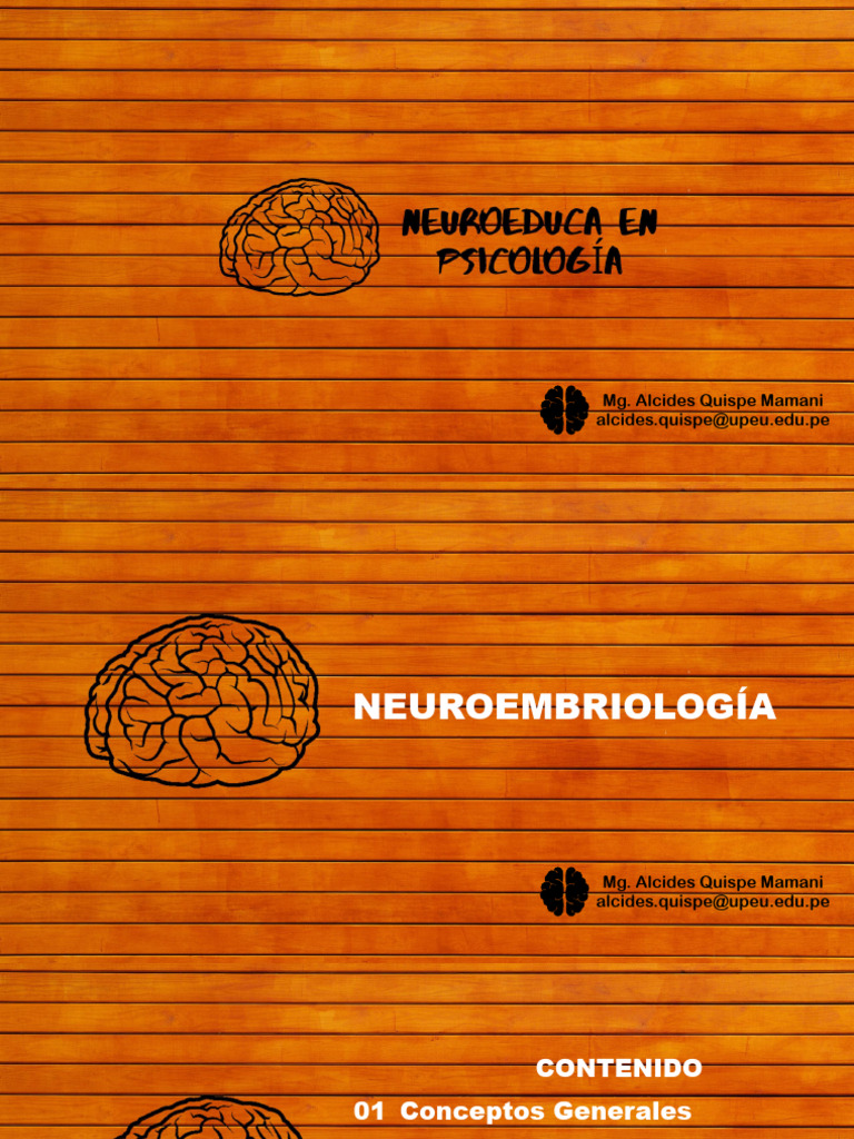 NEUROEMBRIOLOGÍA | Descargar gratis PDF | Sistema nervioso | Embrión