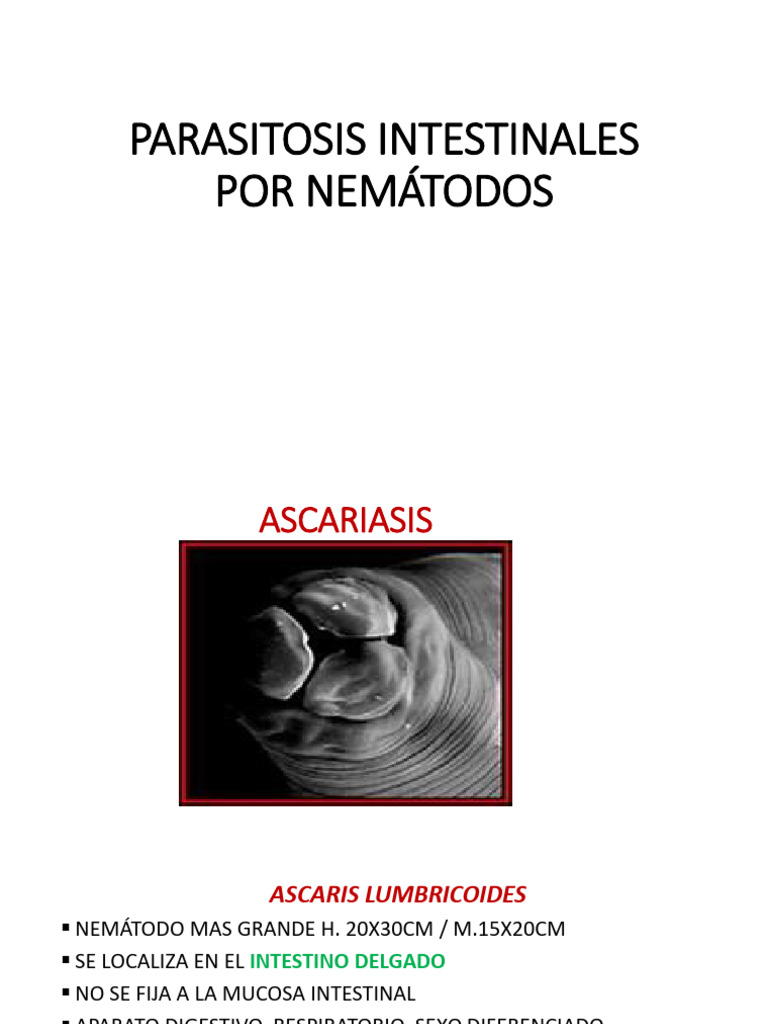 PARASITOSIS INTESTINALES POR NEMATODOS (Autoguardado) | PDF | Medicina ...