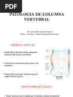 Compresion Radicular. | PDF | La columna vertebral | Sistema ...