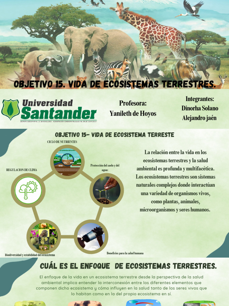 Ods 15 Vida de Ecosistema Terrestres | PDF | Suelo | Ecosistema