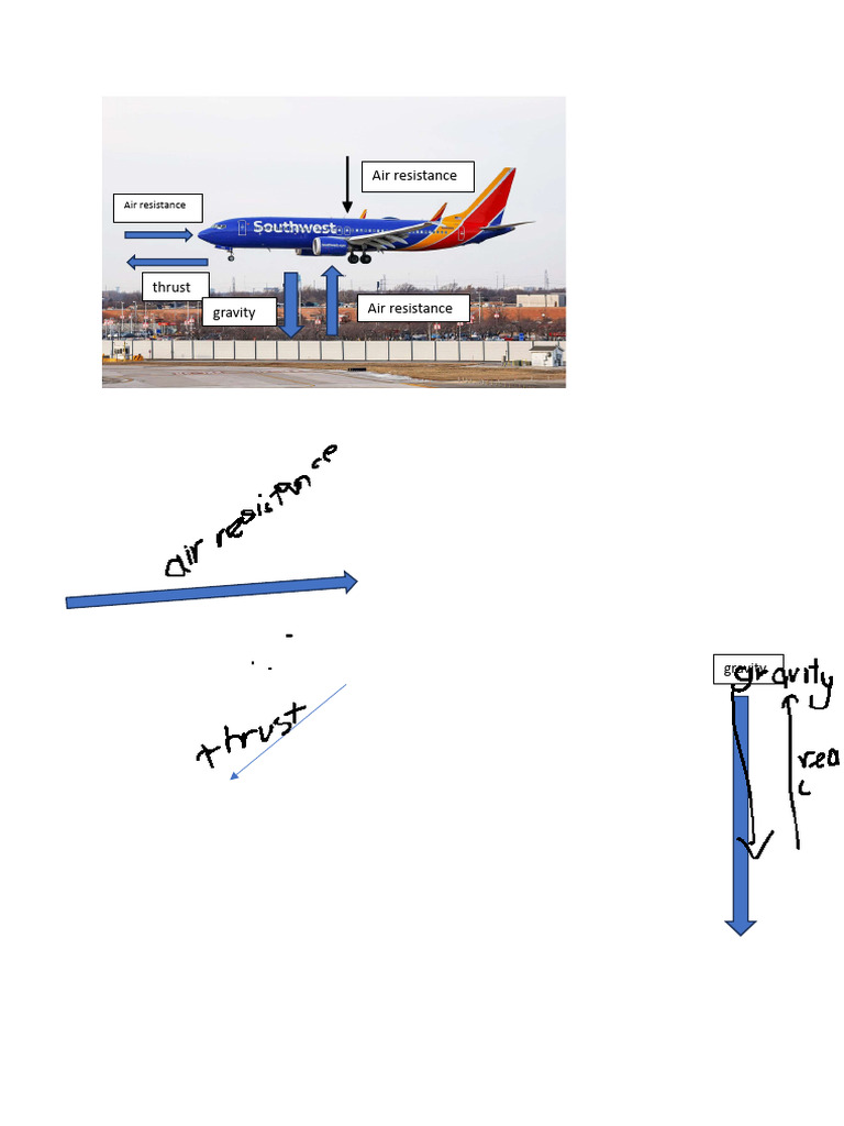 Forces in Action | PDF | Science & Mathematics
