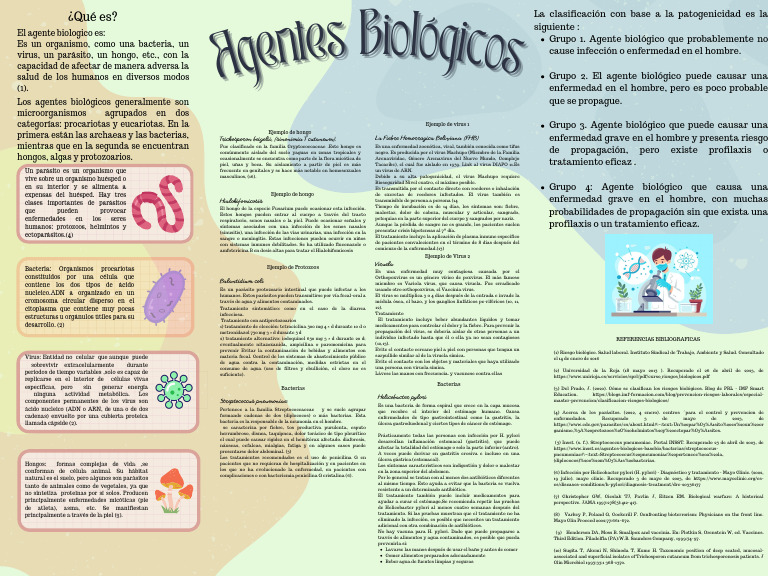 Agentes Biológicos: Clasificación y Ejemplos | PDF | Virus | Infección