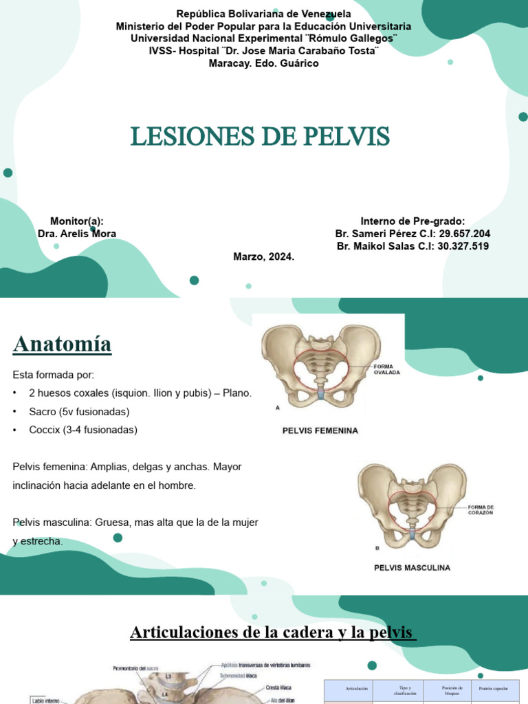 Lesiones De Pelvis Descargar Gratis Pdf Pelvis Anatomía Del