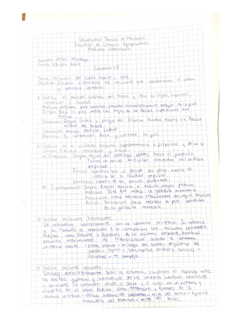 Cuestionario 8 Anatomia Alison Montoya 1C | PDF
