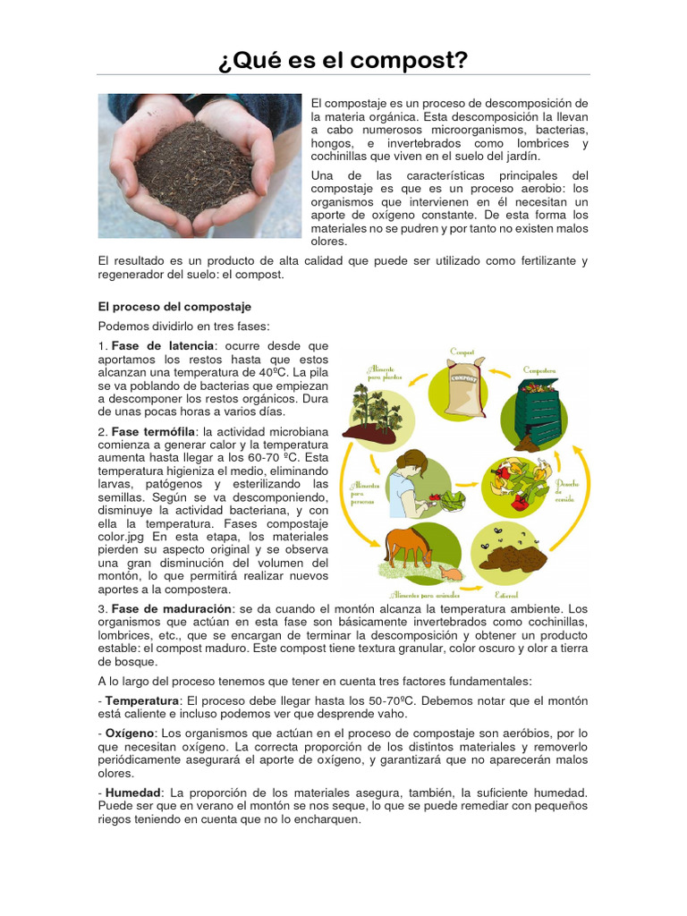 Qué Es El Compost | PDF | Compost