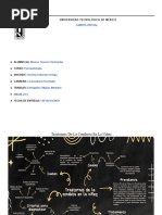 Entregable 2.evolucion de Las Percepciones. | PDF | Las emociones | Adultos