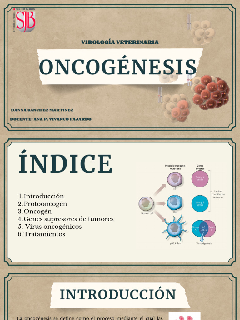 On Co Genesis | PDF | Oncogen | Carcinogénesis