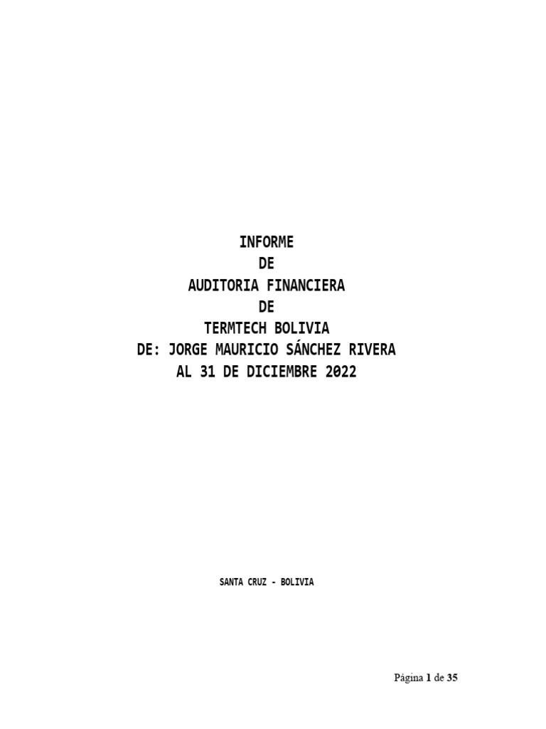 TERMTECH | PDF | Auditoría | Estado financiero