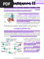 7 Receptores Ligados A Enzimas, (Receptores Catalíticos) | PDF ...