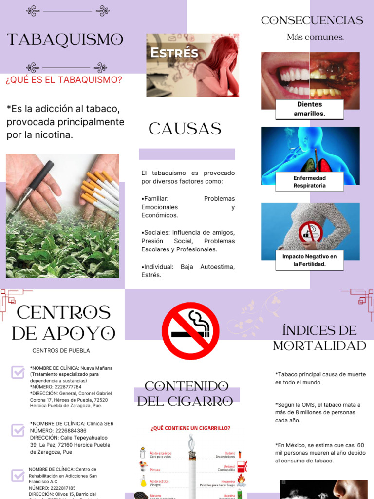 Folleto de Tabaco | Descargar gratis PDF | Tabaco | Medicina CLINICA