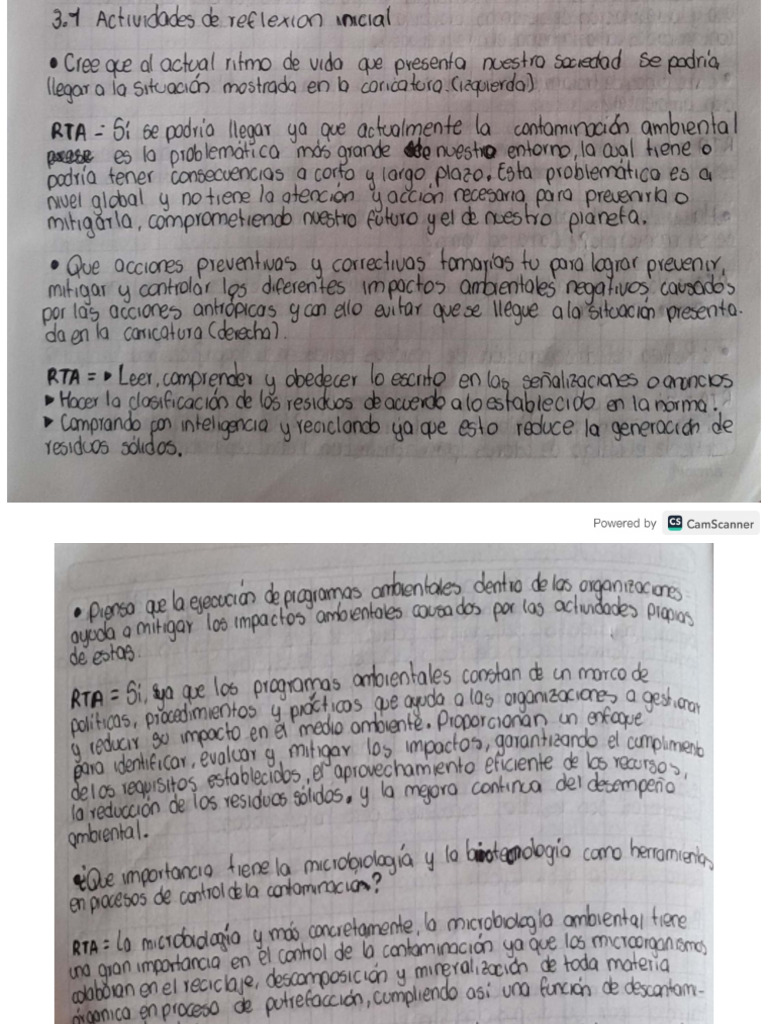 Actividades de Reflexión inicial | PDF