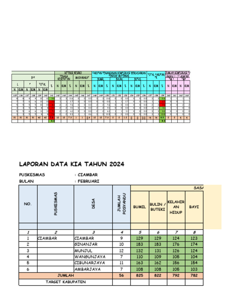 Format Laporan Data Kia PKM 2024 | PDF