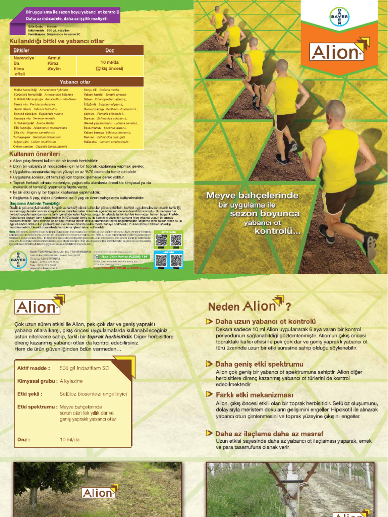 Alion Brosur | PDF