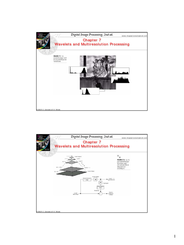 DIP Chapter07 - Wavelets and Multiresolution Processing M4 | PDF | Computer Engineering | Vision