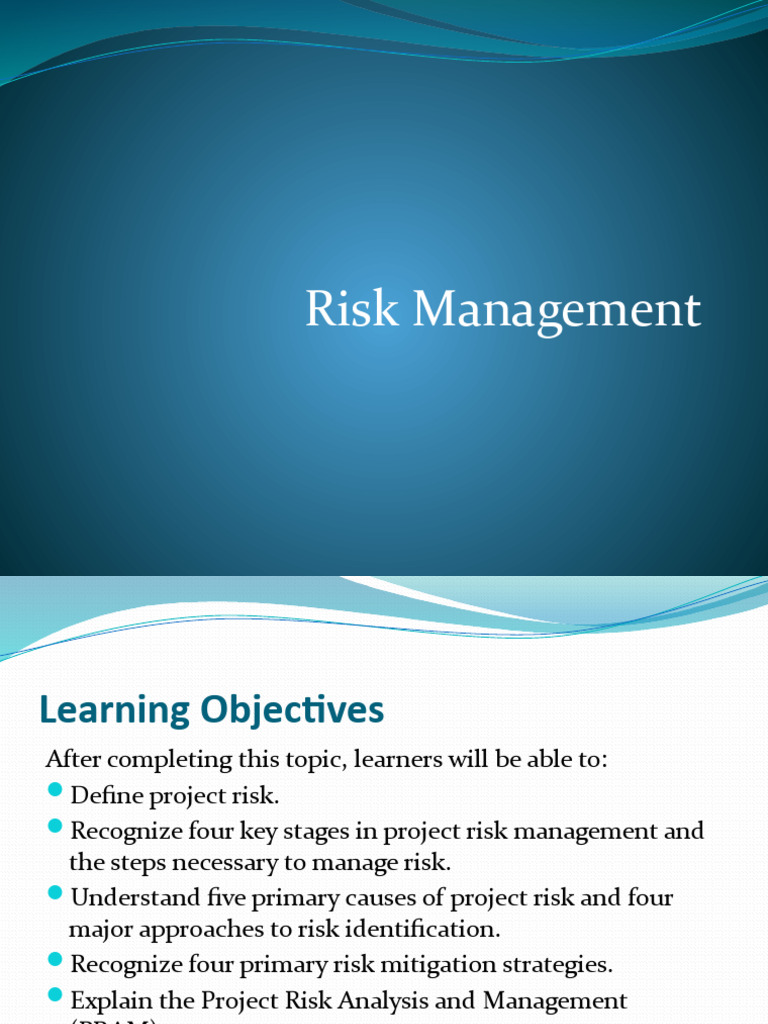 Project Risk Management | PDF | Risk | Risk Management