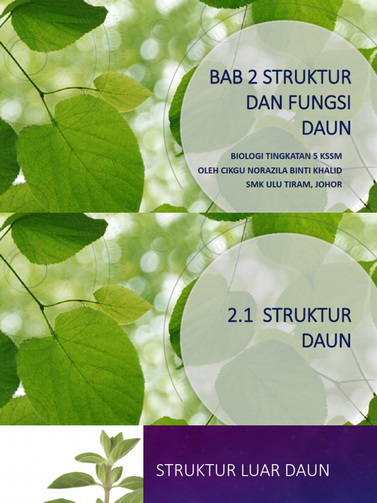 BIO T5 KSSM BAB 2 Struktur Dan Fungsi Daun Zila Khalid ) | PDF