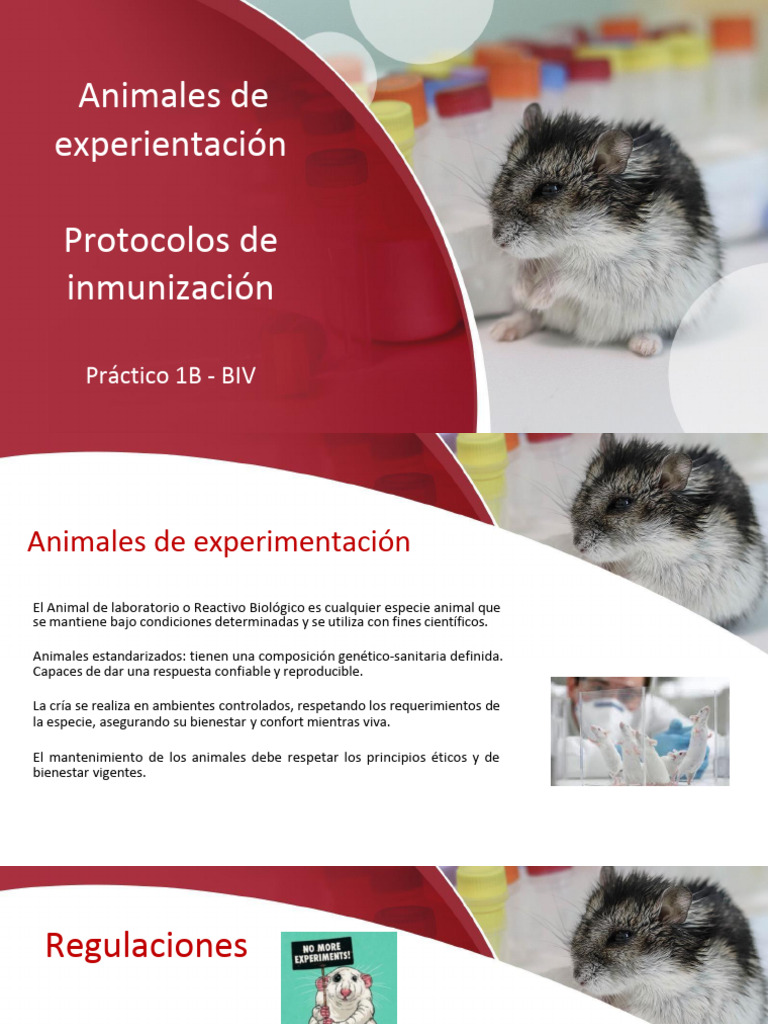 Práctico 1 B. Animales de Experimentación | Descargar gratis PDF ...