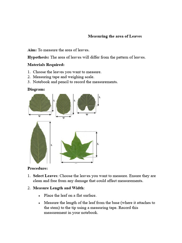 Measuring the area of Leaves | PDF
