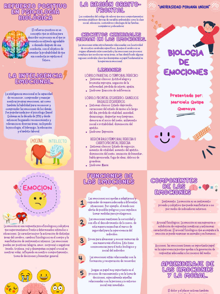 TRIPTICO | PDF | Las emociones | Cerebro