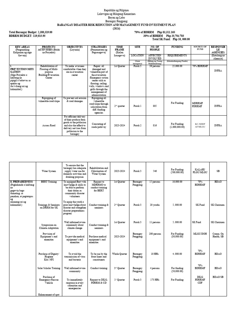 BDRRM Plan 2024 | Download Free PDF | Emergency Management