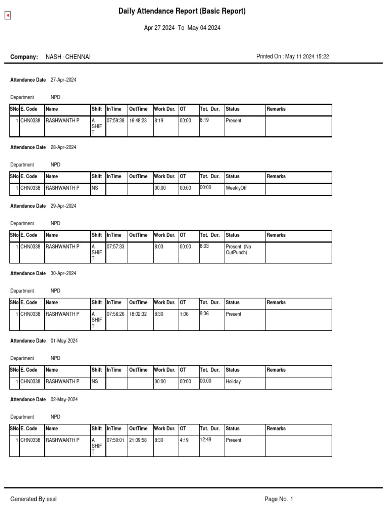 Daily Attendance Report | PDF