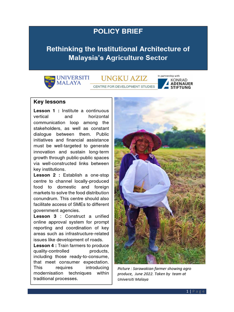KAS Policy Paper - Rethinking The Institutional Architecture of ...