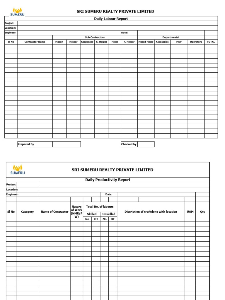 DLR & DPR Formats | PDF